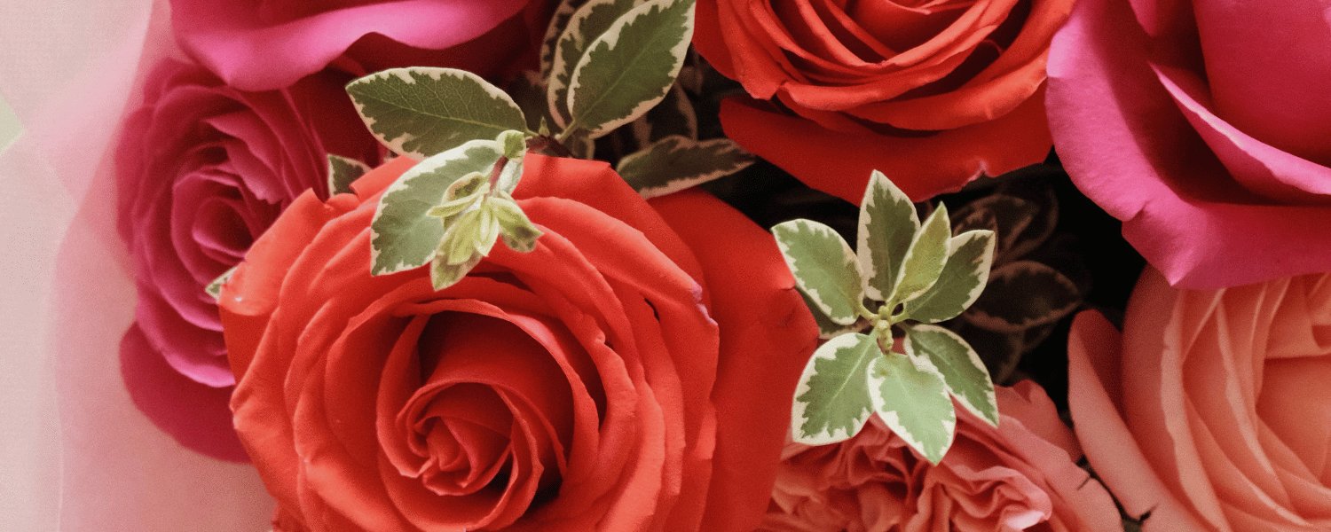 POLLY & CO l Valentines Day Gifts & Flowers - Muswellbrook – Polly & Co