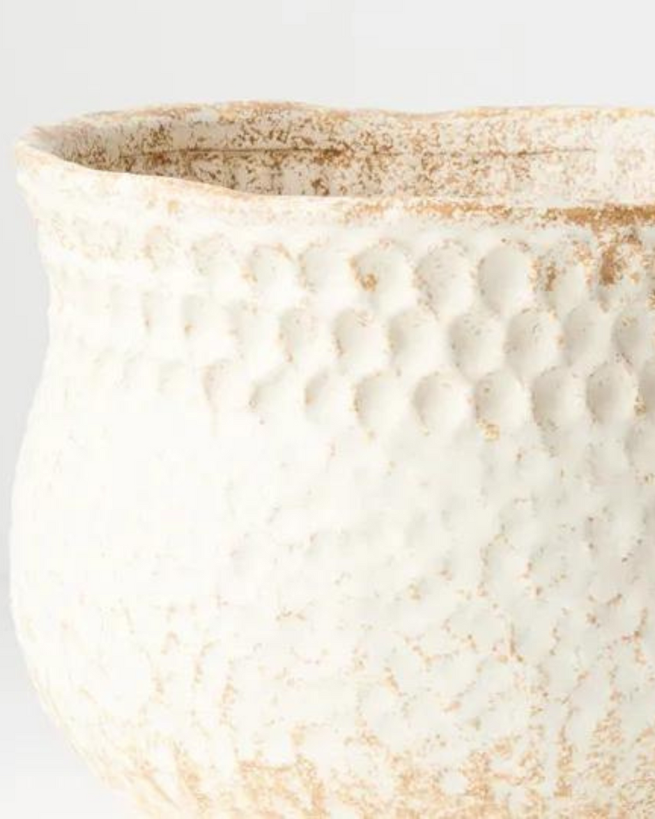 POLLY & CO l Feel Good Store + Florist - Muswellbrook – Polly & Co